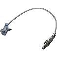 Amazon.com: ACDelco GM Genuine Parts 12656543 Heated Oxygen Sensor ...