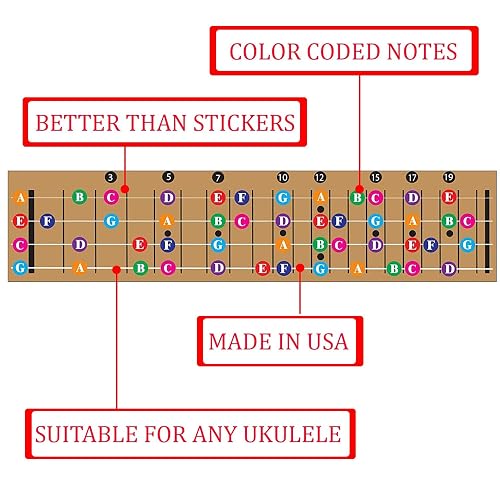 4 String Bass Notes 4 String Bass Guitar Fretboard Note Chart - Color ...
