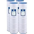 Amazon.com : In The Swim Standard Pool Filter Cartridge 4-Pack ...