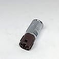 Amazon.com: General Motors 25774623 12 Volt Accessory Power Outlet ...