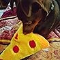 Amazon.com : ZippyPaws Squeakie Emojiz Pizza Slice : Pet Supplies