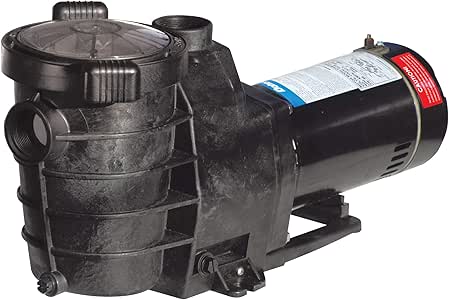 Amazon.com : Doheny's Pool Pro Silencer In-Ground Swimming Pool Pump (1 ...