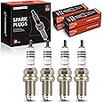 Amazon.com: A-Premium Iridium Platinum Spark Plugs Compatible with Honda Goldwing, Interceptor ...