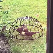 Selections Ground Bird Feeder Haven Cage (Pigeon, Jay and Magpie Proof ...