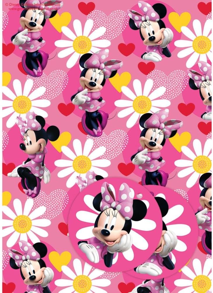 Minnie Mouse Gift Wrap – BigaMart