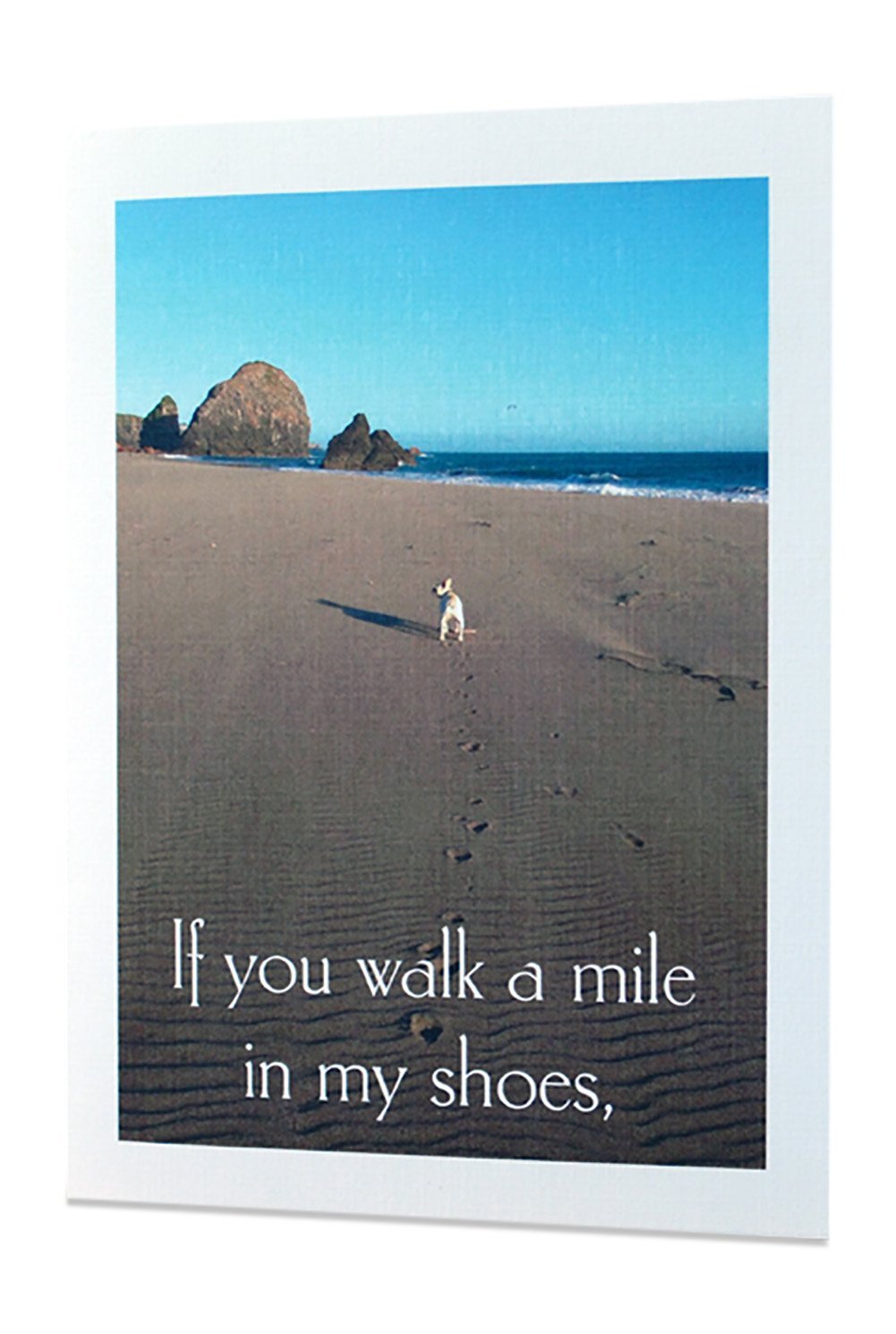 Amazon Adult Funny Inappropriate Sexy Greeting Cards Any amazon-adult-funny-inappropriate-sexy-greeting-cards-any