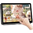 Amazon.com: 8 Inch Touchscreen Mini Monitor HD 800x480 Small Monitor ...