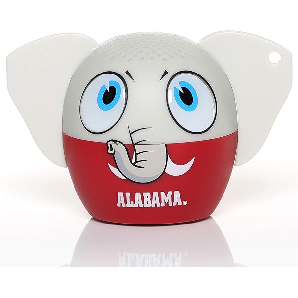 Kim Minter's Instagram, Twitter & Facebook on IDCrawl