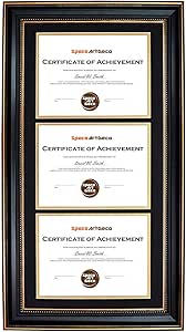 Amazon.com - Space Art Deco, Triple Certificate Frame Double Mat for (3 ...