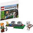 Amazon.com: LEGO Minecraft 30394 The Skeleton Defense (31 Pcs) : Toys ...