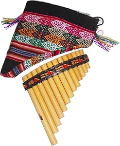 Amazon.com: Easy to Play Beginner Peru Treasure Small Peruvian Tunable ...