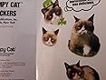 Grumpy Cat Stickers: Grumpy Cat: 0000486791645: Amazon.com: Books