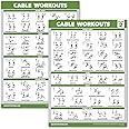 QUICKFIT Workout Poster Cable Machine, an Exercise Chart for Cable ...