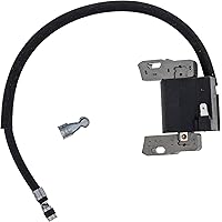 Amazon.com: PARTSRUN Ignition Coil with Spark Plug Replace Briggs and ...