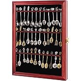 Amazon.com - COMSREV 36 Souvenir Tea Spoon Display Case Collection ...
