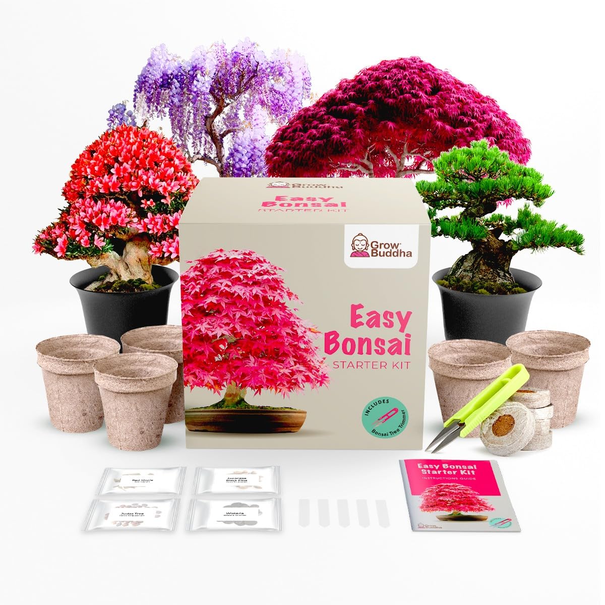 Grow Your Own Bonsai Tree kit | Easily Grow 4 Types of Bonsai Tree with ...