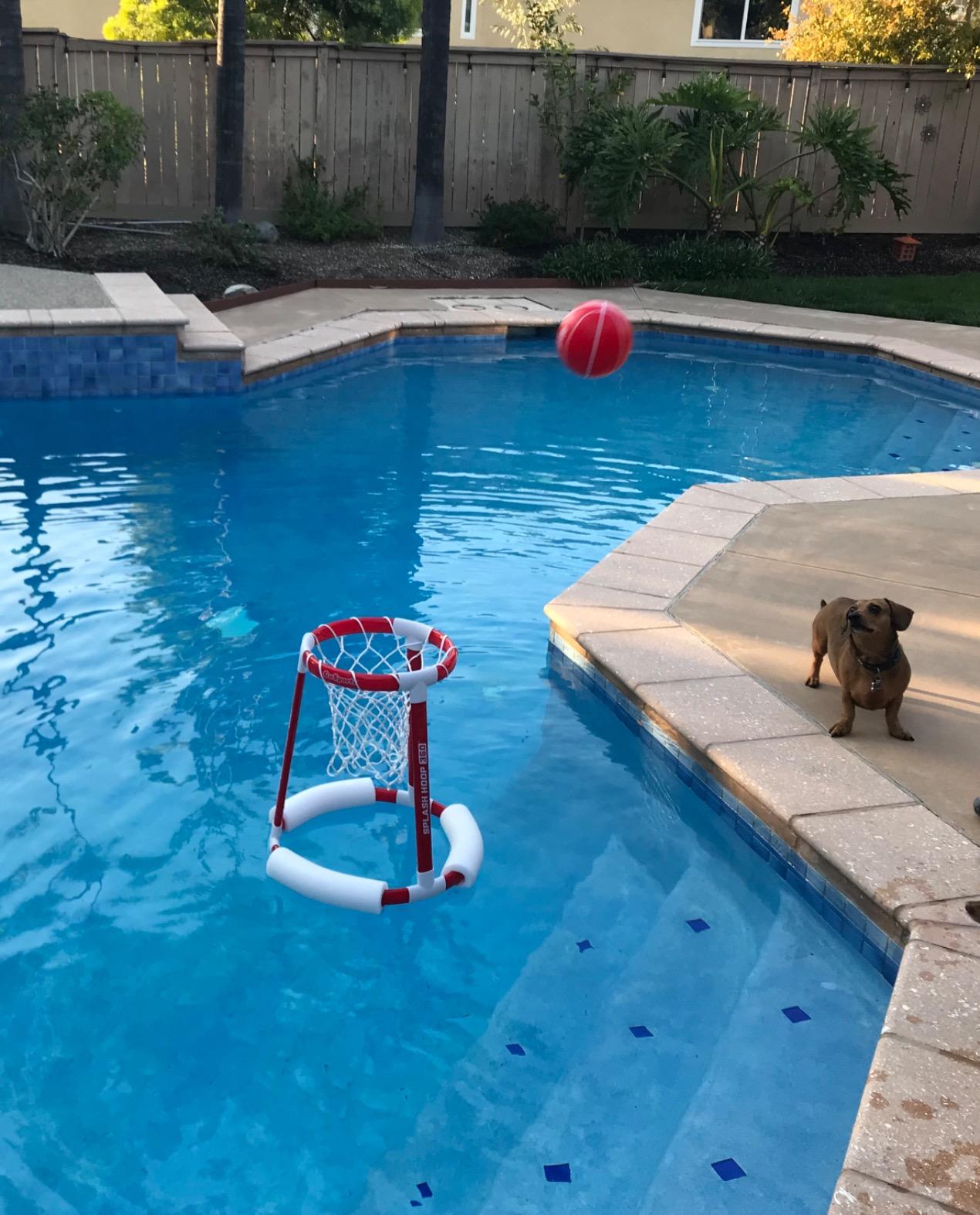 $7/mo - Finance GoSports Splash Hoop 360 Floating Pool Basketball Game ...