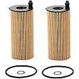 Amazon.com: 2 Pcs Oil Filter Compatible With 2016-2023 118i 230i 330i ...