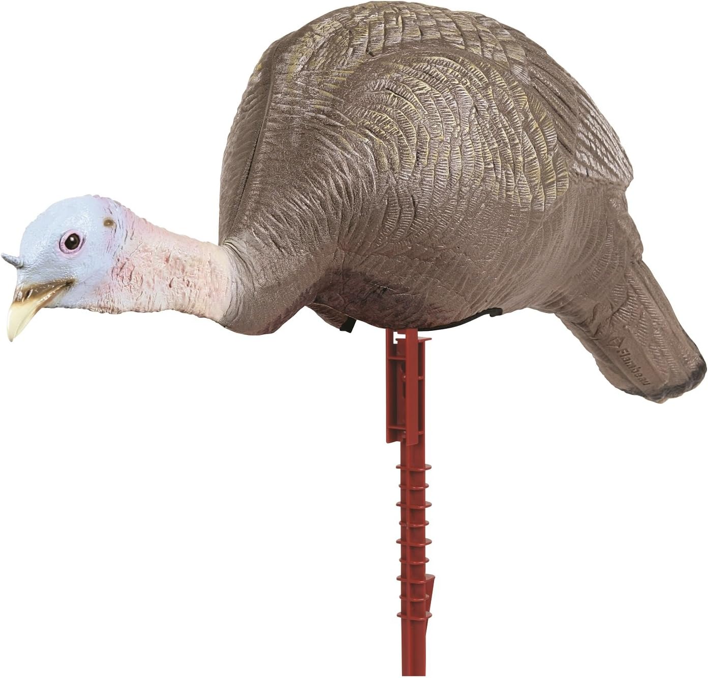 Amazon.com : Flambeau Turkey Master Series Active Feeding Hen Decoy ...