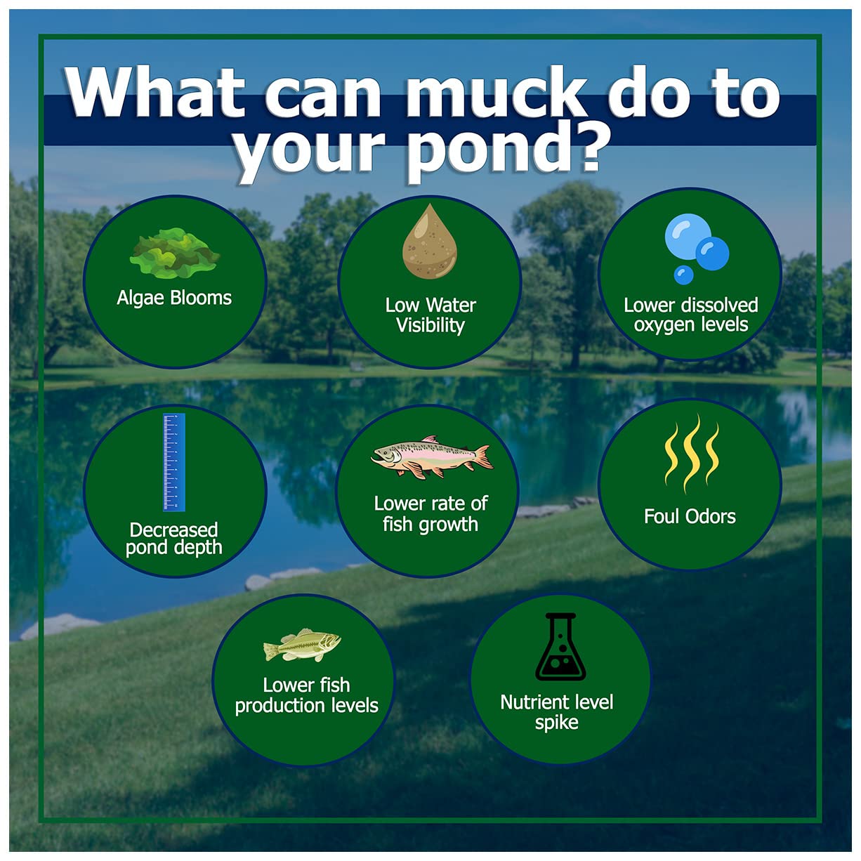 Mua Muck Remover Pellets 5 lb (10 Scoops) | Pond Tablets Treat 1.25 ...