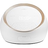 Amazon.com : Spectra - Synergy Gold Portable - Dual Adjustable Electric ...
