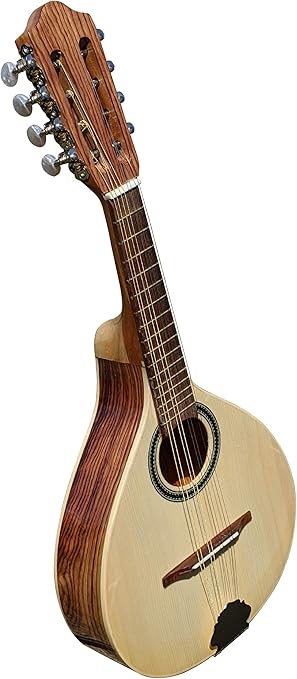 Amazon.com: 8 String Rosewood Mandolin Hand Made in Mexico, Free Gig ...