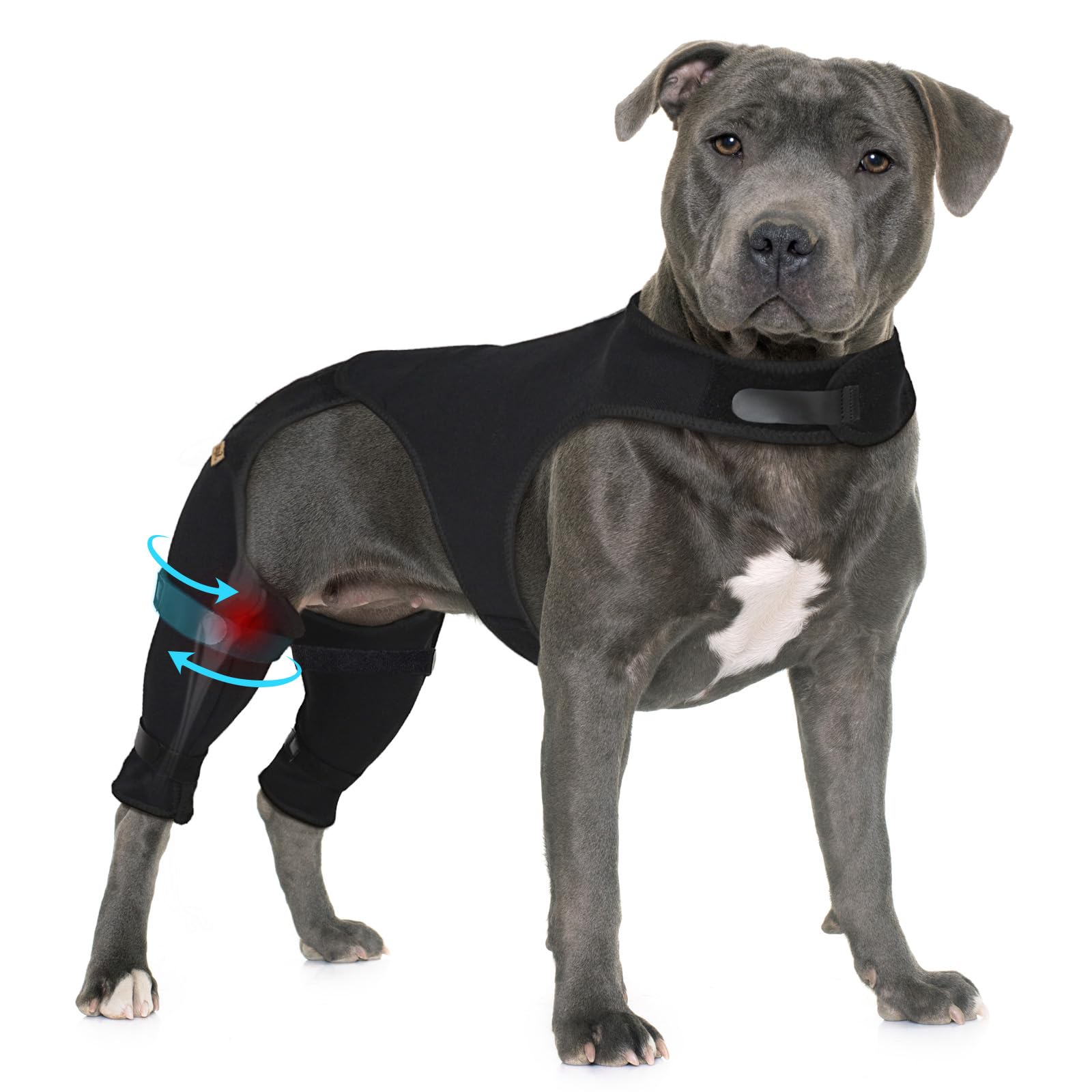 Supet Dog Rear Leg Sleeve to Stop Licking, Non-Slip Surgical Sleeve for ...