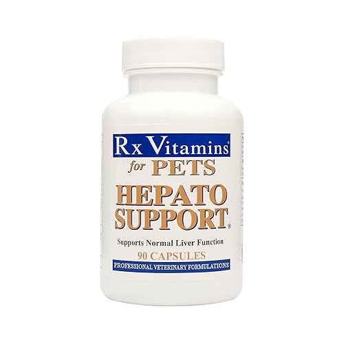 Rx Vitamins Hepato Support for Dogs & Cats - Milk Thistle for Healthy ...