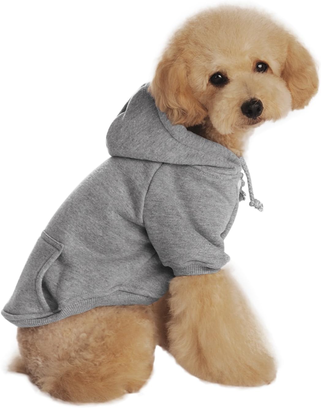 Vêtement pour Chien Hoodie Chien Gilet de Protection pour Chien Chat ...