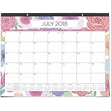 Amazon.com : Blue Sky 2018-2019 Academic Year Weekly & Monthly Planner ...