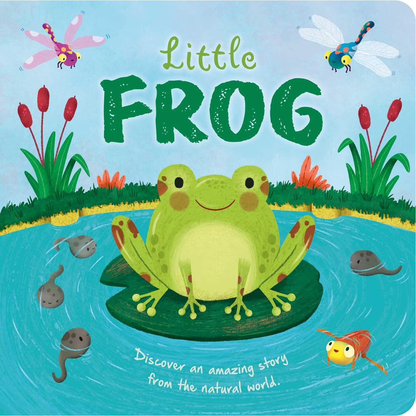 Mua Nature Stories: Little Frog-Discover an Amazing Story from the Natural World: Padded Board ...