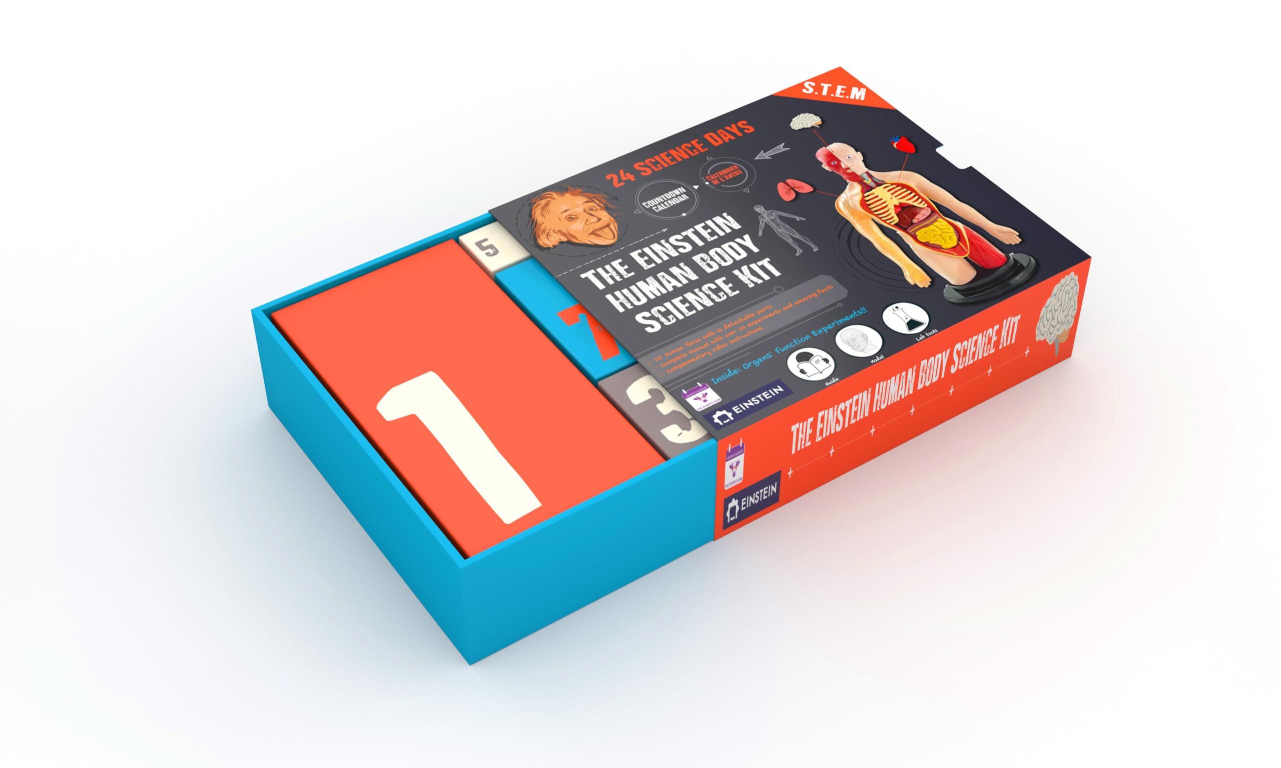 Mua Einstein Human Body Science Kit : unique and original 24 S.T.E.M ...