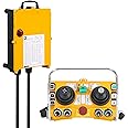 Amazon.com: NEWTRY Wireless Crane Remote, 12V Industrial Remote Control ...