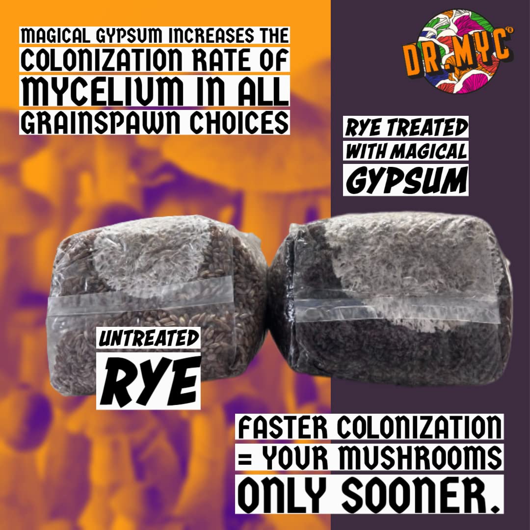 Mua Magical Gypsum - Lab Grade Gypsum with Nutritional Profile Designed ...