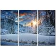 Amazon.com: Modern Canvas Painting Wall Art Snowfield Winter Snow ...