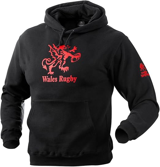 Amazon.com: Wales Rugby Logo Hoodie: Clothing