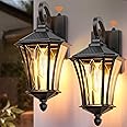 YSN 2 Pack Dusk to Dawn Outdoor Light Fixture Wall Mount Porch Lights Weather Resistant Exterior ...