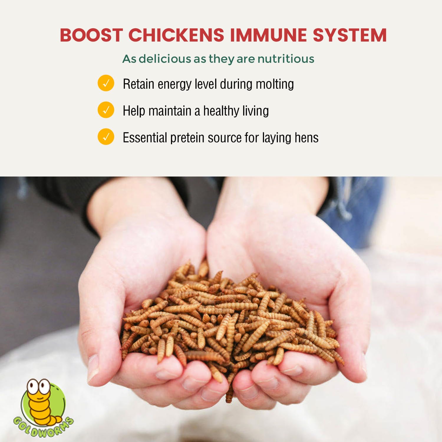 Mua 2LBS BSF Larvae Superior to Dried Mealworms for Chickens - Dried ...