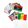 Amazon.com: 54 Pack African Country Flags, Small Flags of the World ...