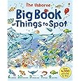 Big Book of Things to Spot (1001 Things to Spot): Brocklehurst, Ruth ...