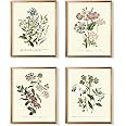 Amazon.com: Watercolor Vintage Flower Poster Print - Primitive Green ...