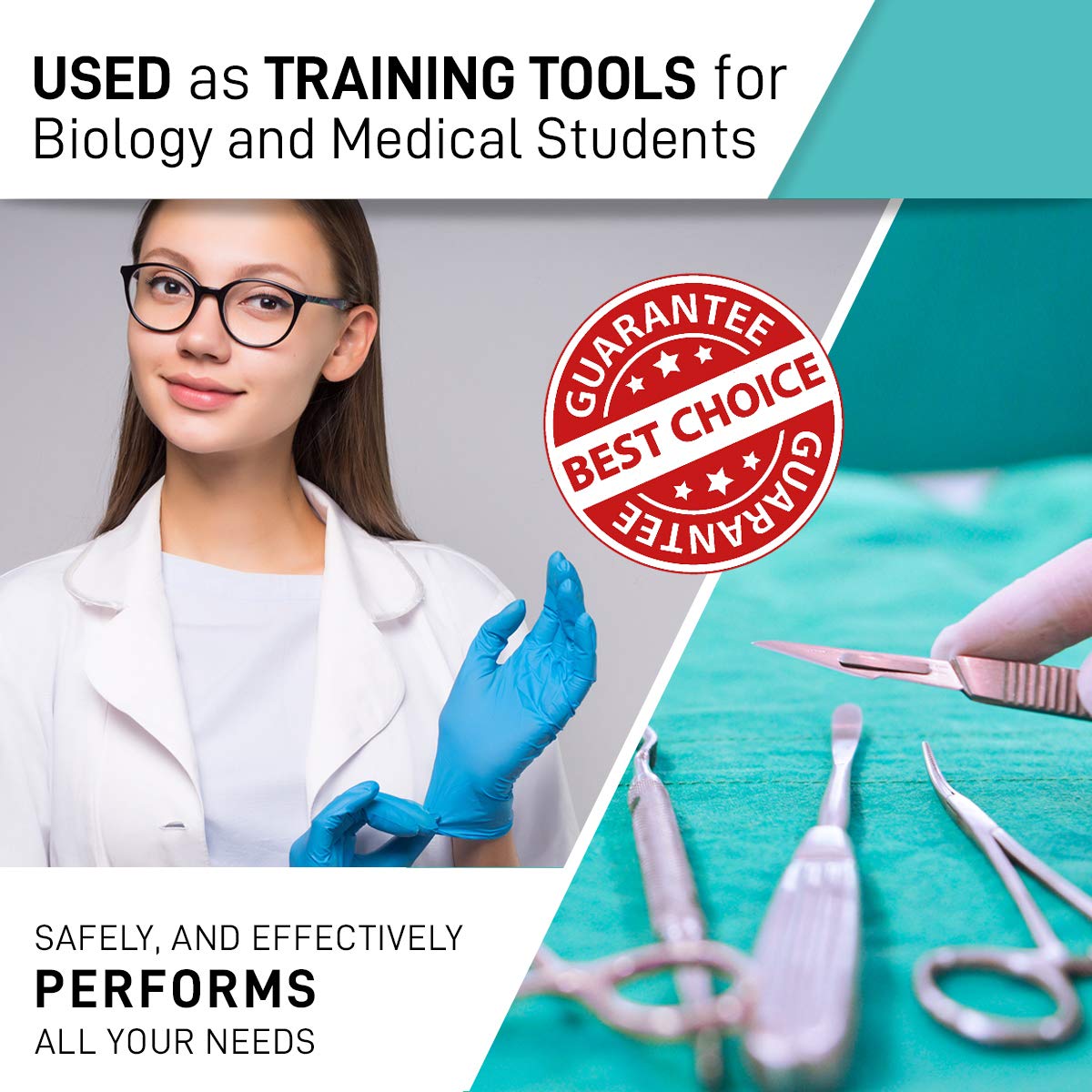 20 Pcs Advanced Biology Lab Anatomy Dissection Kit Set with Scalpel ...