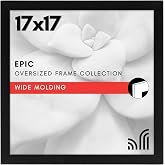 Amazon.com - Americanflat 17x17 Picture Frame with Polished Plexiglass ...