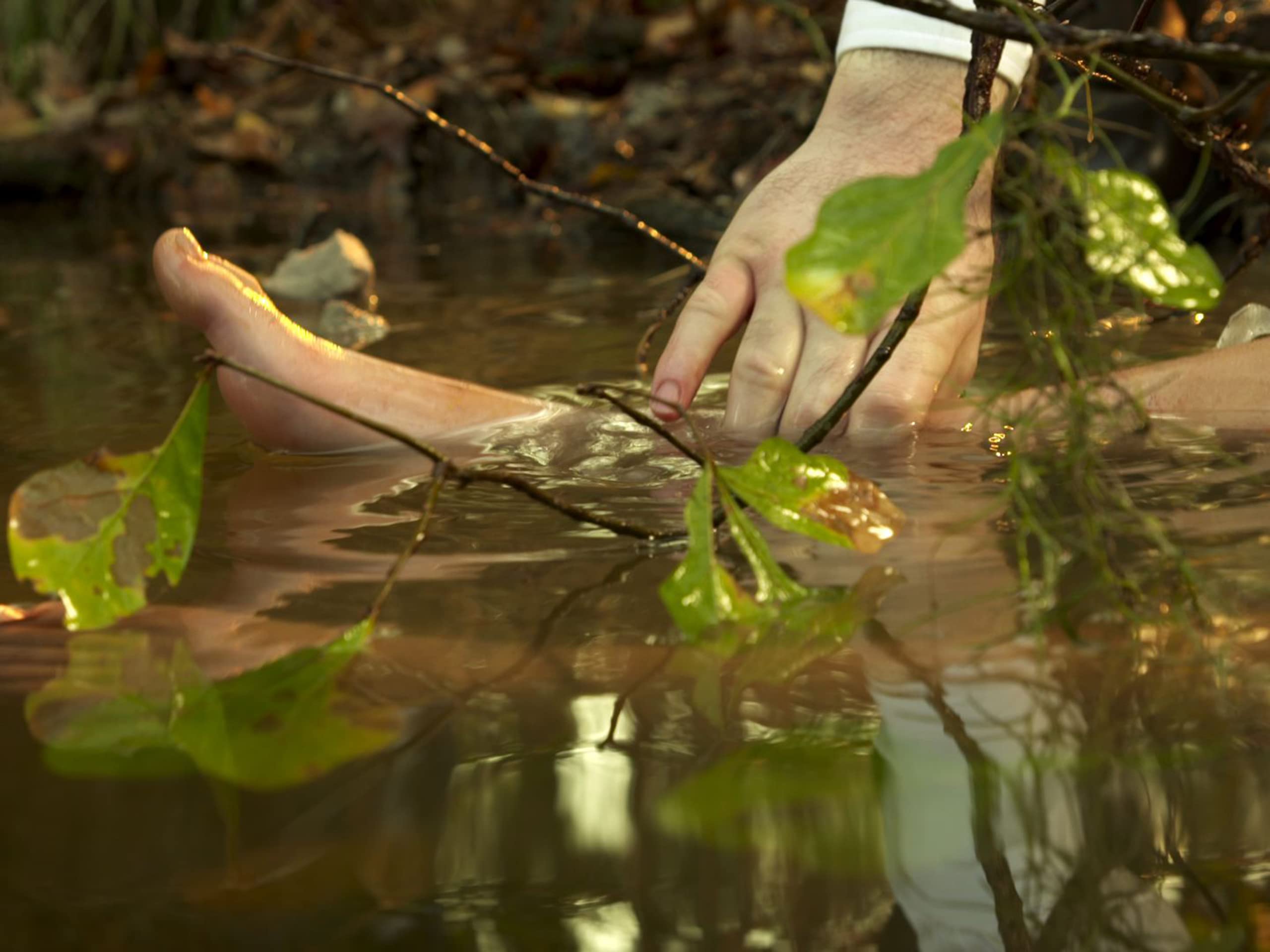 Watch Swamp Murders - Season 1 | Prime Video