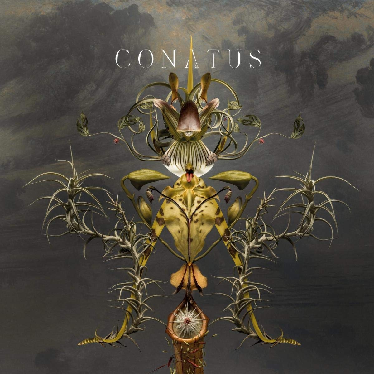 Conatus: Amazon.co.uk: Music