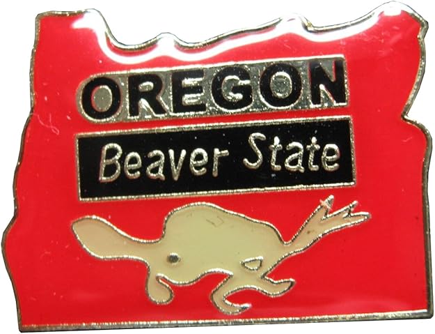 Amazon.com: United States Oregon Lapel pin New: Jewelry