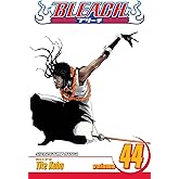 Amazon.com: Bleach, Vol. 43: 9781421542966: Tite Kubo, Tite Kubo: Books