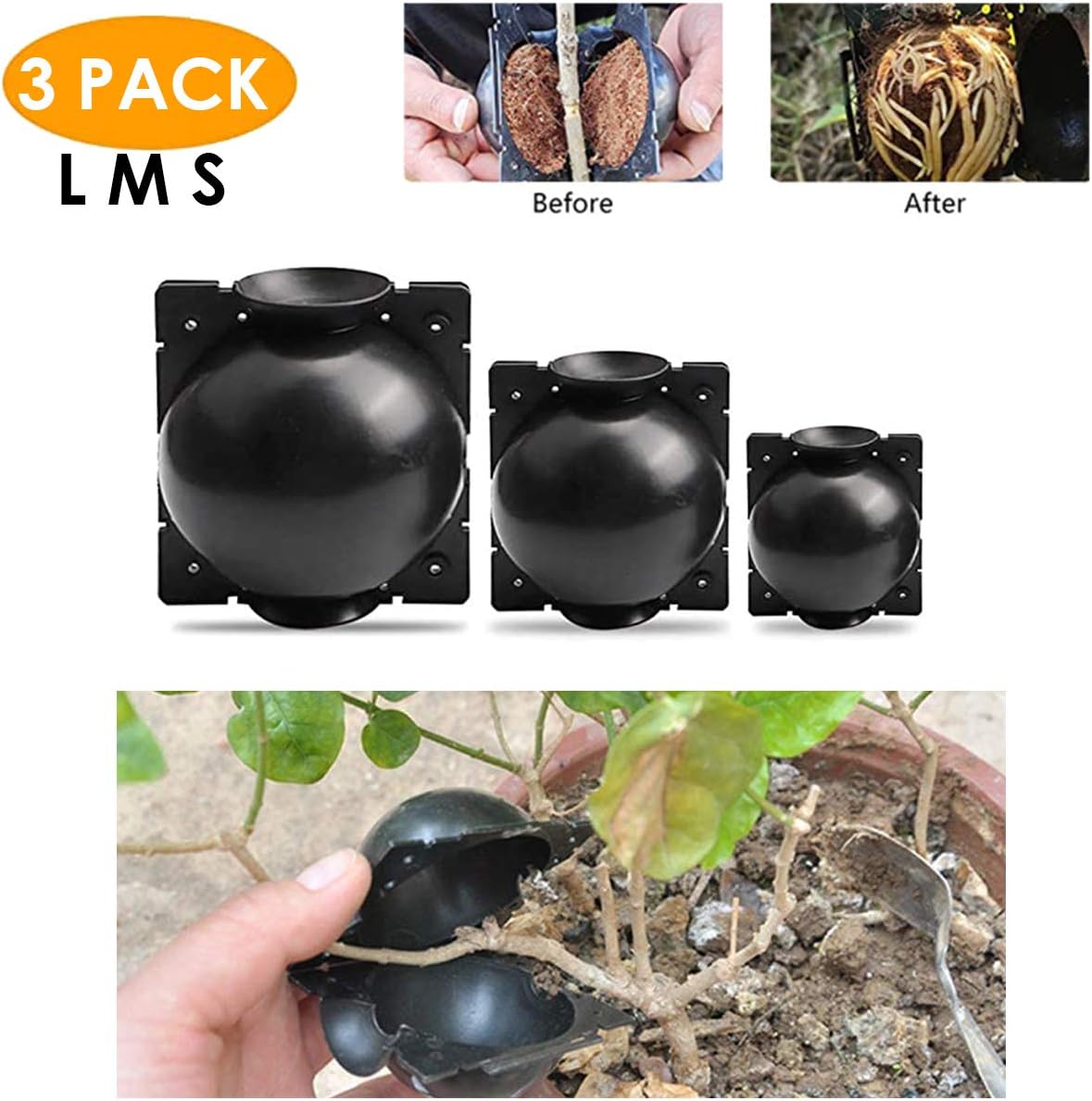 SOONHUA Plant Rooting Ball-Assisted Cutting Rooting Box, 3pcs Plant ...