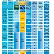 Amazon.com : Panacur C Canine Dewormer (Fenbendazole), 4 Gram : Panacur ...