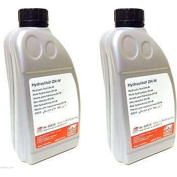 Amazon.com: Genuine 000989910310 Mercedes 000 989 91 03 10 / Hydraulic ...